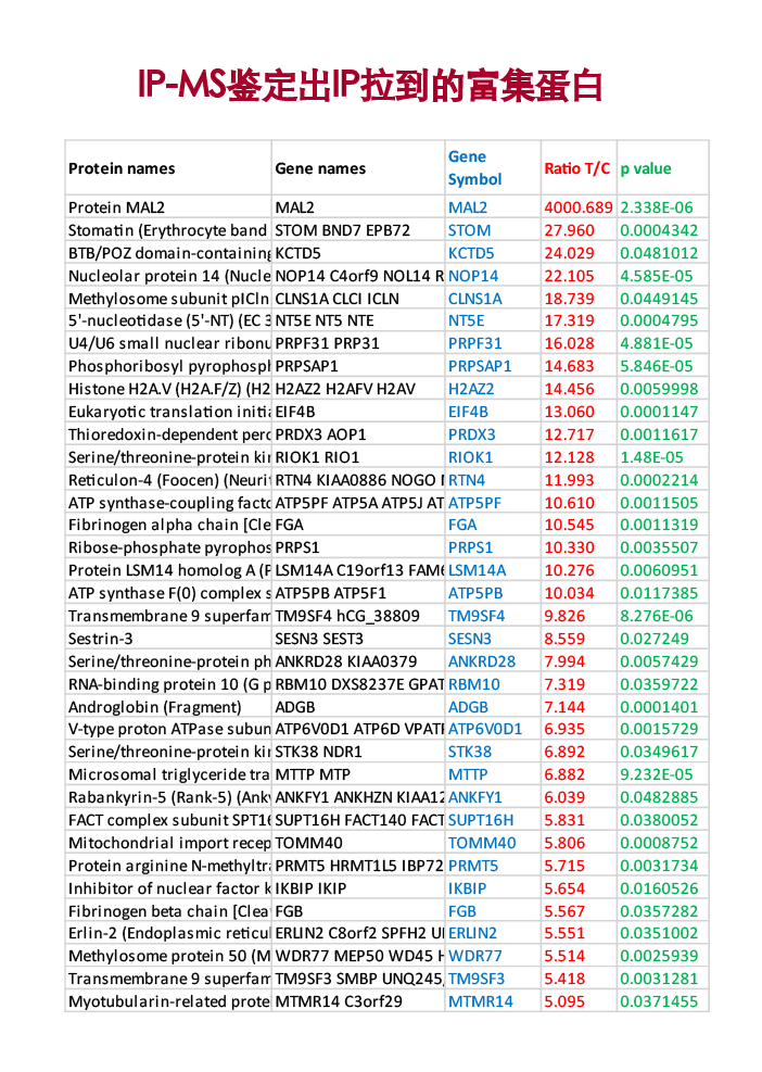 IP-MS/Co-IP-MS, 互作蛋白检测及鉴定